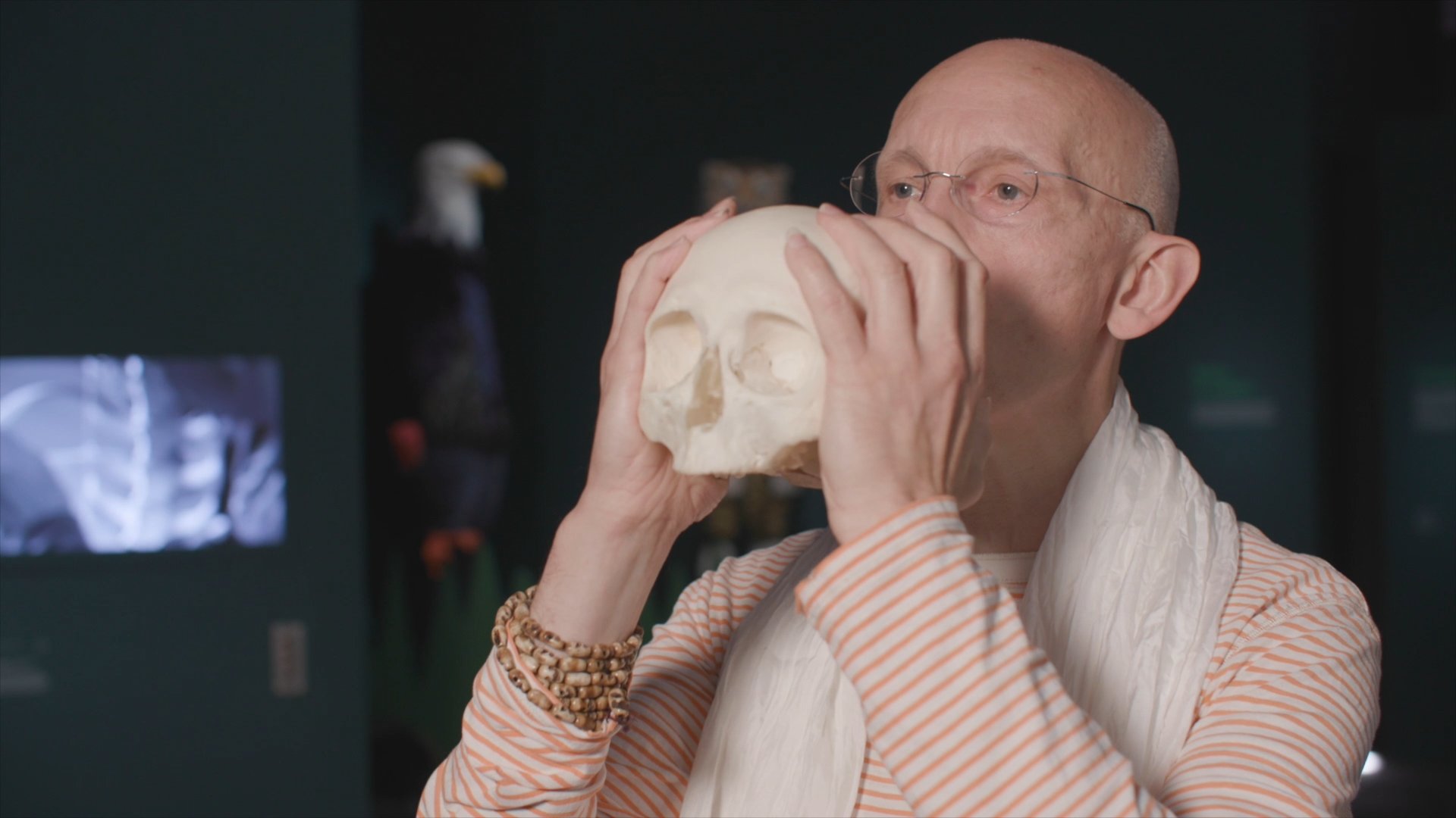 Exposition Musicanimale : Le Cerf-Volant d'Erik Nussbicker ...