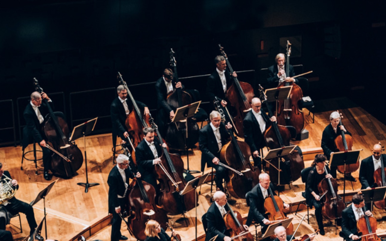 Tout sur la contrebasse (deuxième partie) | Philharmonie de Paris